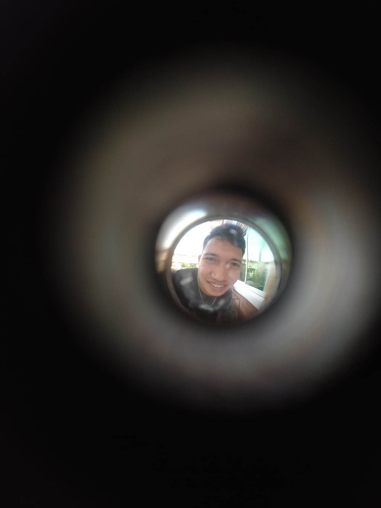 Bela-Tech Dynamic Company